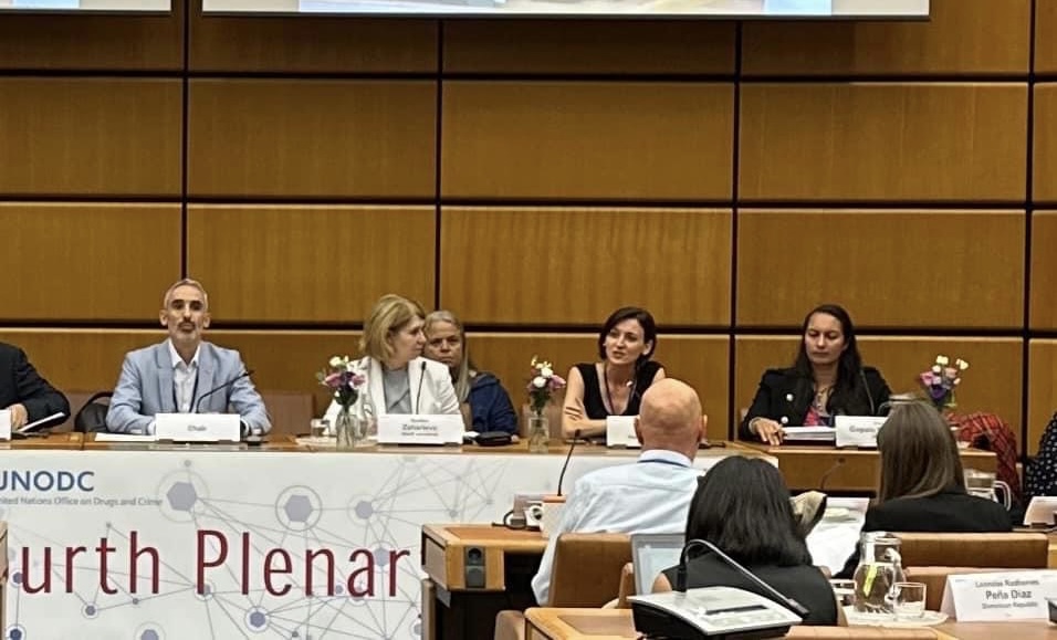 Veronica Dragalin susține că are studiile necesare pentru deține ...