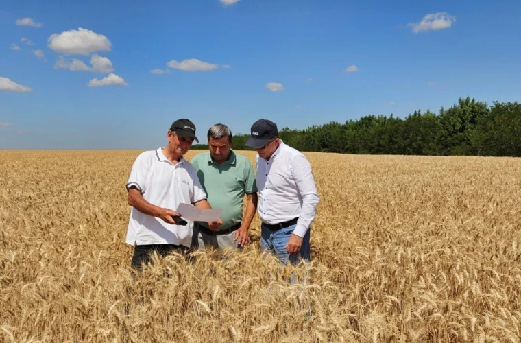 ANSA desfășoară controale la sectoarele semincere și pepinierele ...